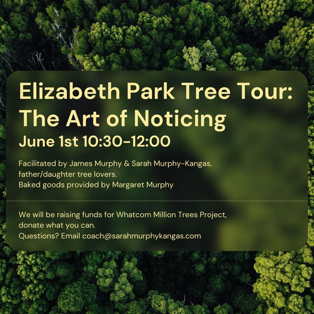 Events – Sarah Murphy-Kangas